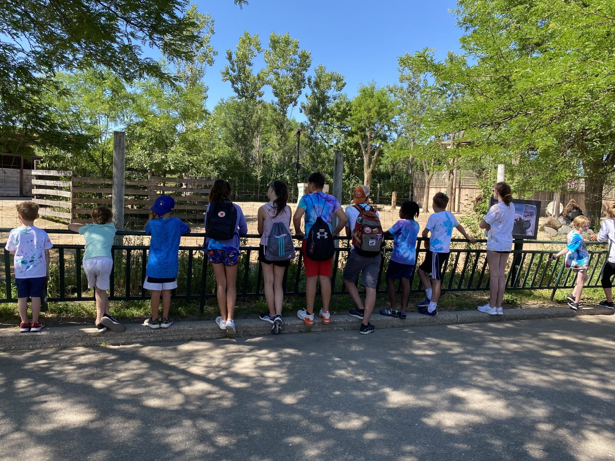 Animal Explorers- Summer Camp Recap Week 2 - Harbor Athletic Club
